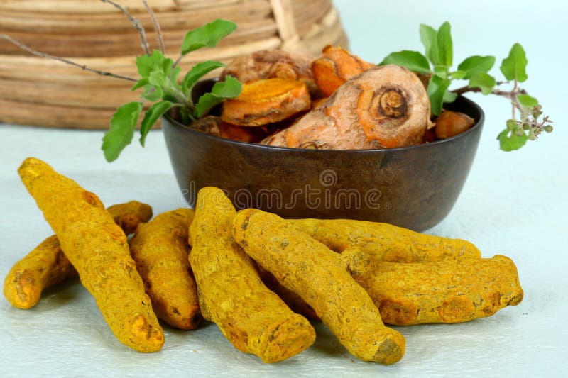 Kacchi Haldi or Raw Turmeric, Indian Spice Stock Image - Image of haldi ...