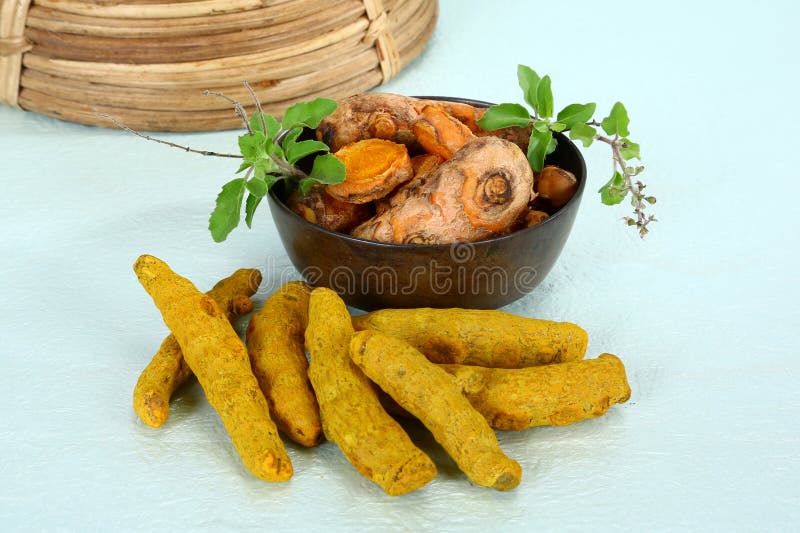 Kacchi Haldi or Raw Turmeric, Indian Spice Stock Image - Image of food ...