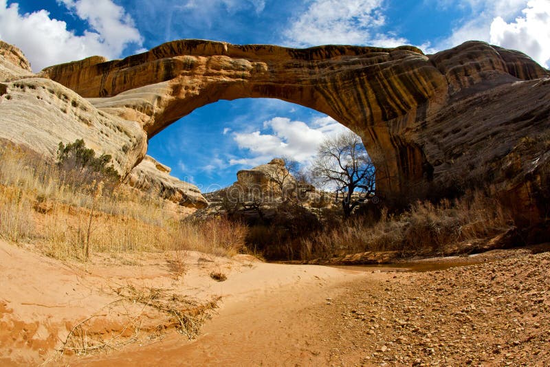 Kachina Bridge is a Natural Rock Bridge Stock Photo - Image of earth ...