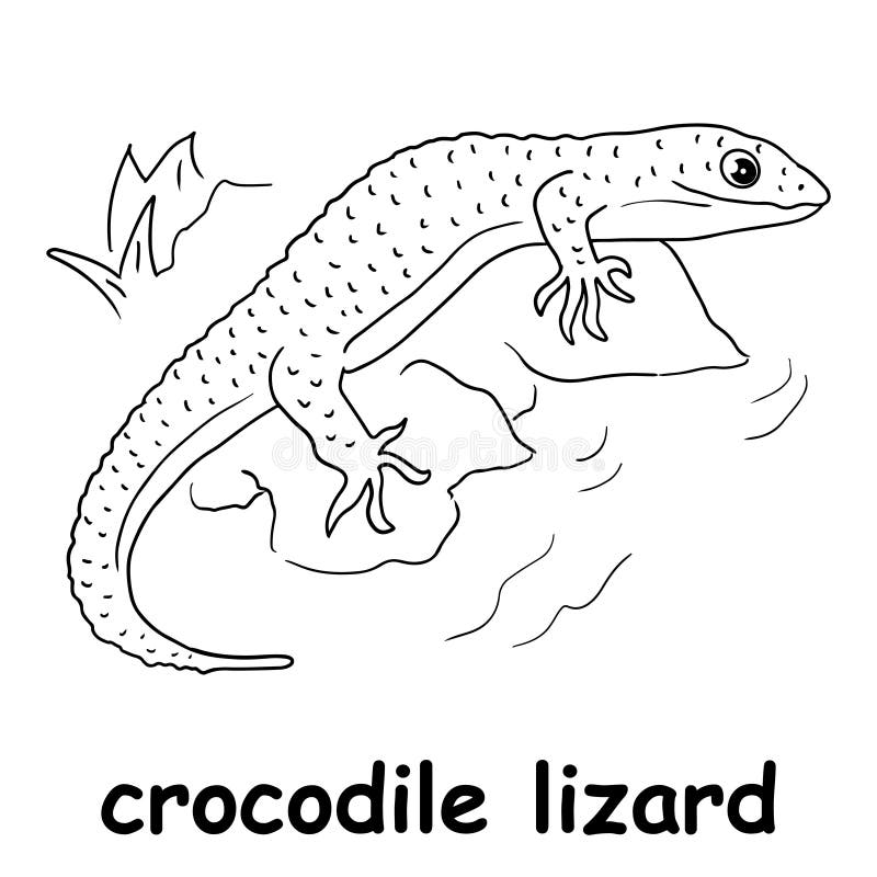 Kids Line Illustration Coloring Crocodile Lizard. Outline Vector for ...
