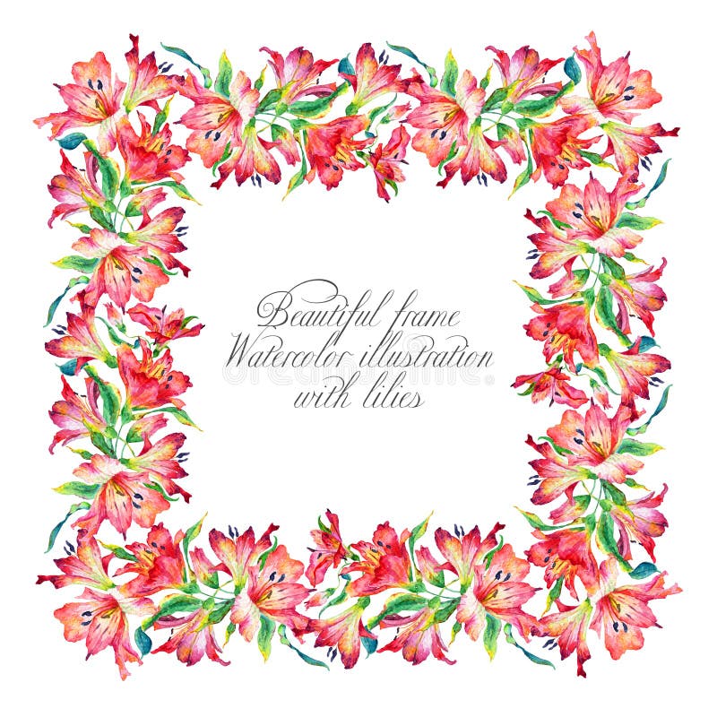 Kader Met Rode Waterverflelies Stock Illustratie - Illustration of ...