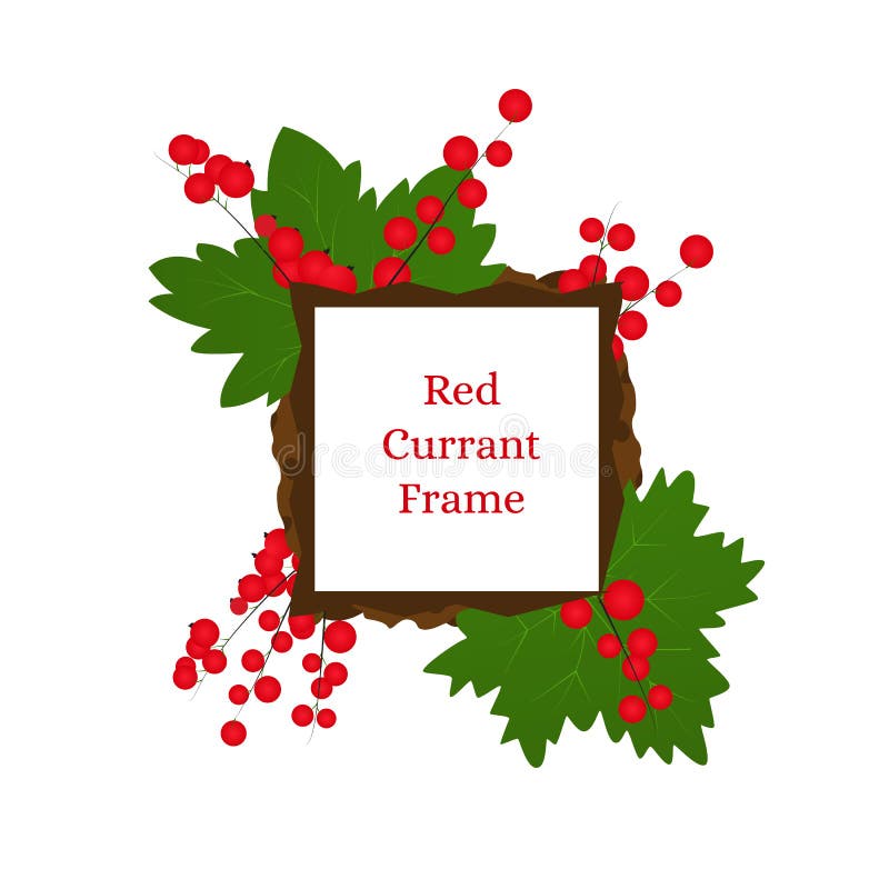 Kader Met Tak Van Rode Aalbessen Met Bladeren Vector Illustratie ...