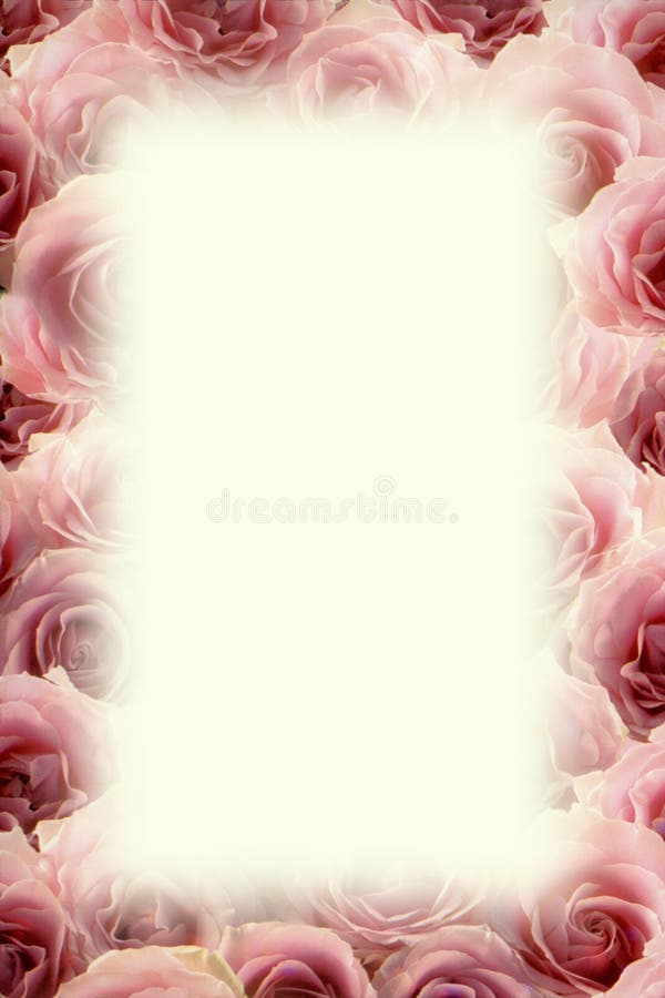 Kader van roze rozen stock illustratie. Illustration of gevoelig - 32034549