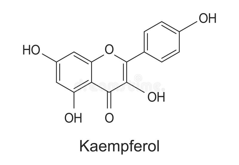Kaempferol Molecule Structure, Vector Chemical Formula Stock Vector ...