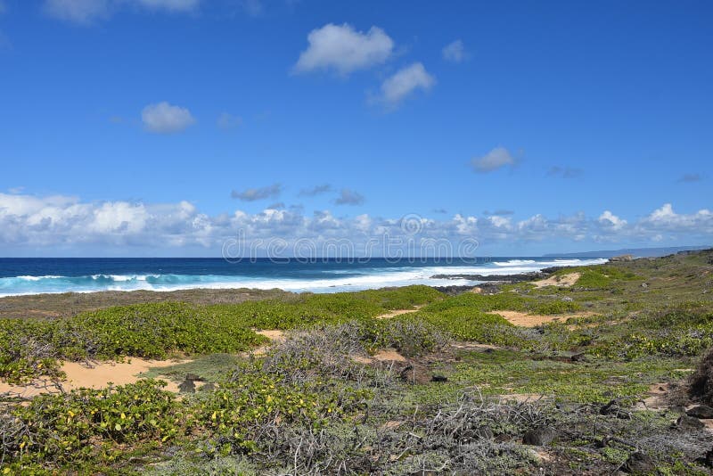 Scenic View from Kaena Point State Park Hawaii, Oahu Stock Photo ...