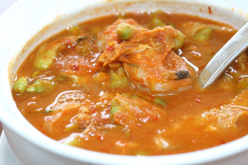 Kaeng Som stock image. Image of bowl, kaeng, sauce, gourmet - 29253221