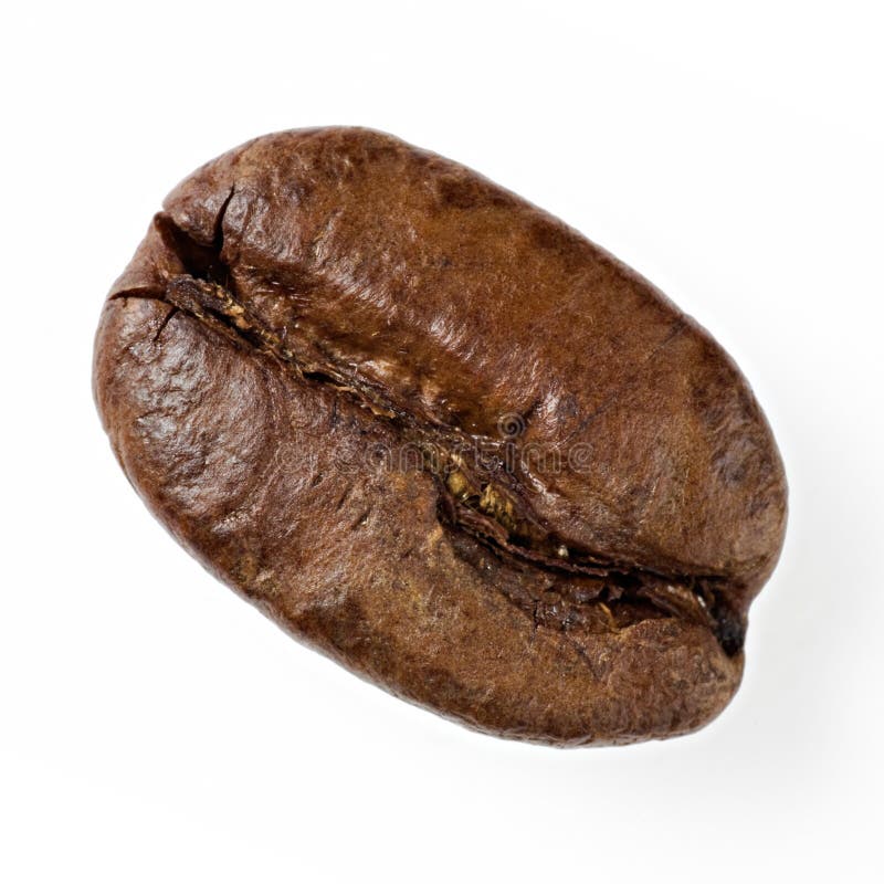 Einzelne Kaffeebohne stockfoto. Bild von nave, koffein - 14766514