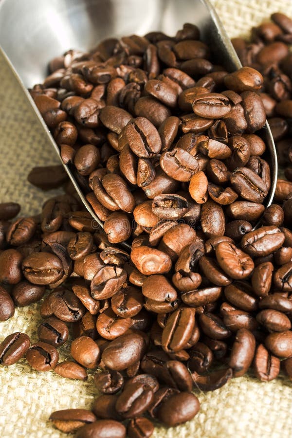 Kaffeebohnen stockbild. Bild von mokka, kaffee, nave, kolumbianisch ...