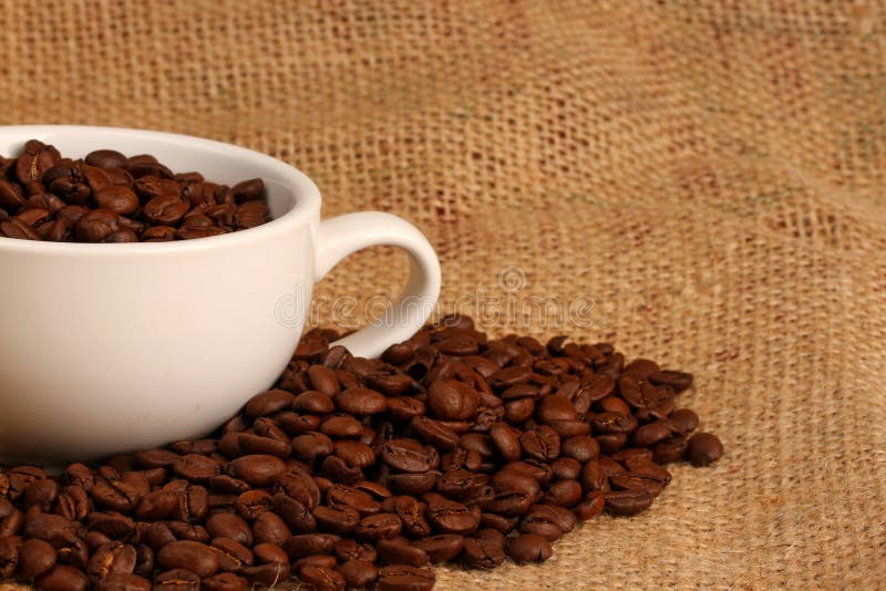 Rohe Kaffeebohnen stockfoto. Bild von kaffee, gebräu - 28539100