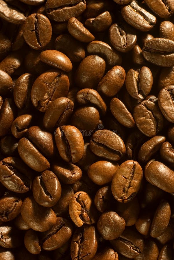 Rohe Kaffeebohnen stockfoto. Bild von kaffeebohnen, rohe - 28538920