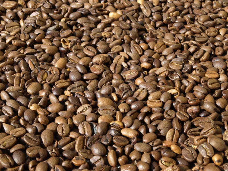 Kaffeebohnen stock image. Image of kaffee, espresso, koffein - 33594269