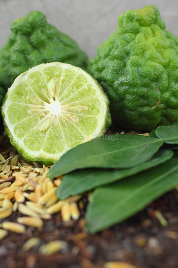 Kaffir foto de stock. Imagem de verde, wallpaper, vitamina - 32747206