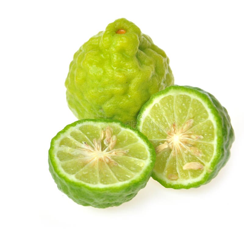 Ma-krut Thai Name or Kaffir Lime or Leech Lime or Mauritius Papeda or ...