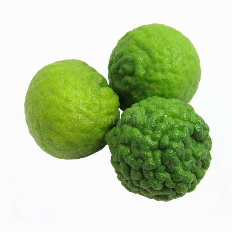 Kaffir Lime Isolated 1 stock photo. Image of lime, ingredient - 24435716
