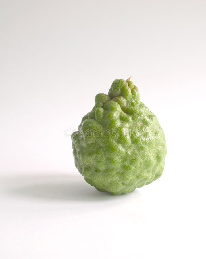 Kaffir lime stock photo. Image of knotty, seed, surface - 42140774
