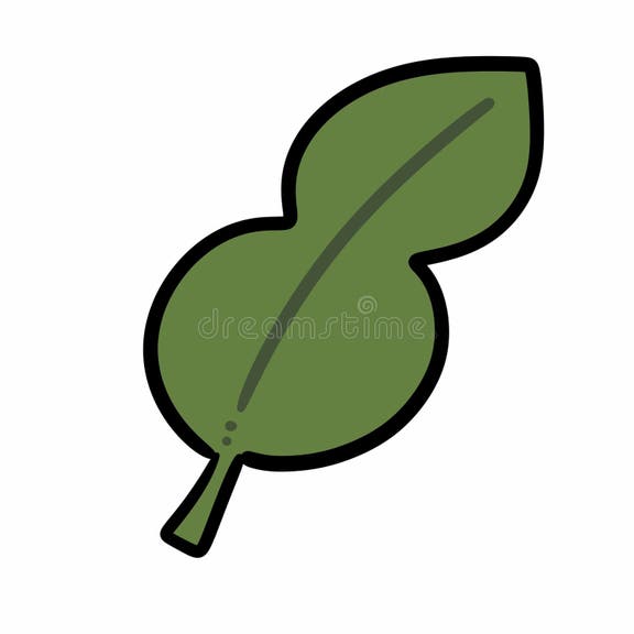 Kaffir Lime Leaf Cartoon on White Background Stock Illustration ...