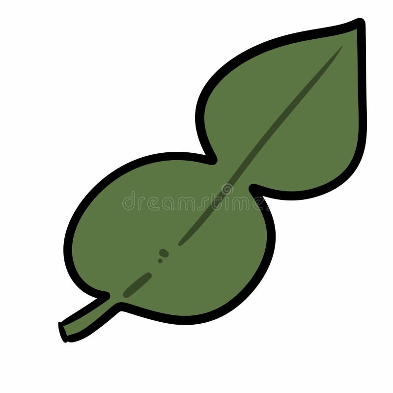 Curry Leaves Drawing Stock Illustrations – 119 Curry Leaves Drawing ...