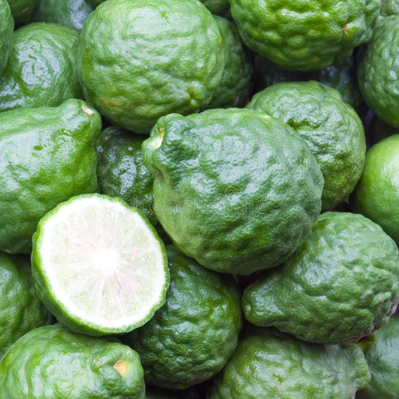 Kaffir Limes stock photo. Image of herb, vegetable, lemon - 20931364