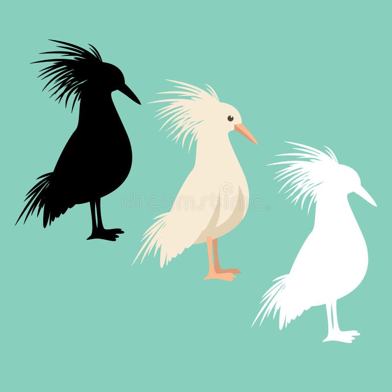Kagu Bird Vector Illustration Style Flat Silhouette Stock Vector ...