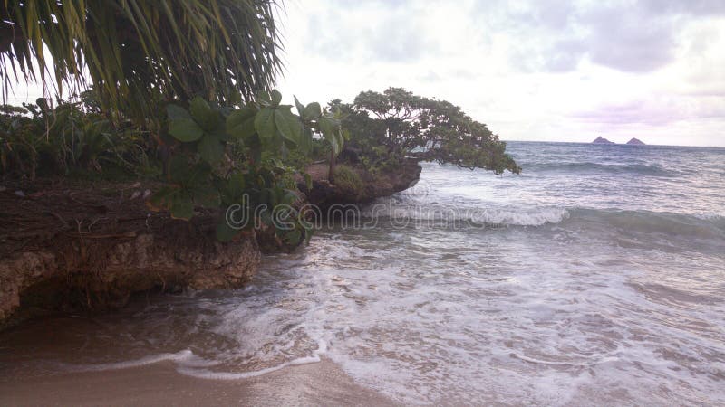 Kailua Beach Oahu Hawaii stock image. Image of mokes - 73508121