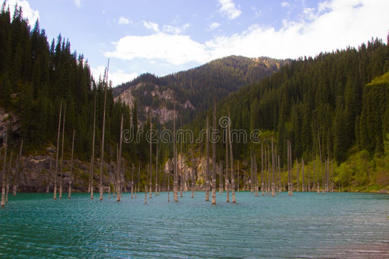 Kaindy Mountain Lake in Kazakhstan Stock Image - Image of beauty ...