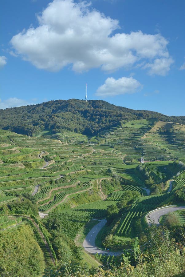 Kaiserstuhl Wine Region,Black Forest,Germany Stock Photo - Image of ...