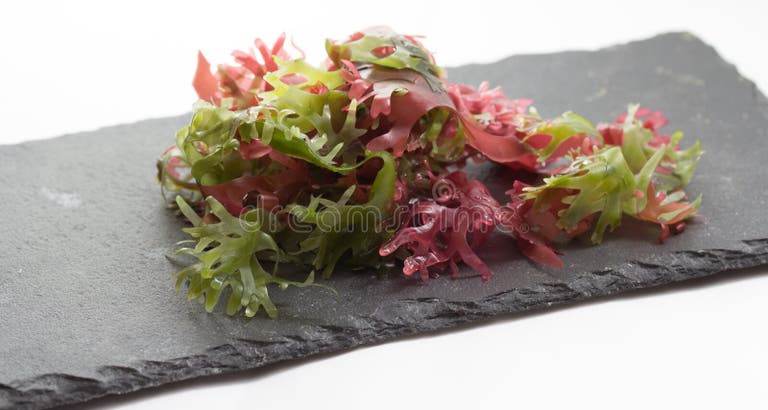 125 Kaiso Stock Photos - Free & Royalty-Free Stock Photos from Dreamstime