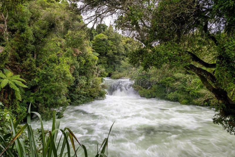 The Kaituna in flood stock image. Image of waterfall - 267956675