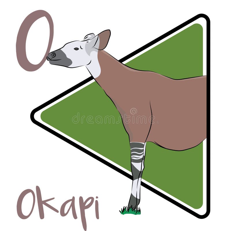 The Okapi is Indeed the only Living Relative of the Giraffe. Stock ...