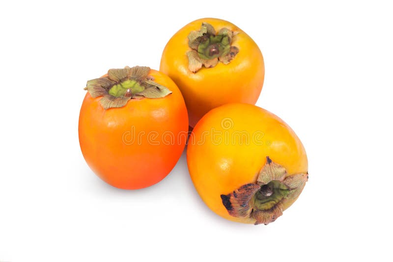 Natural Kaki on Tree Branch by Winter Stock Photo - Image of color ...