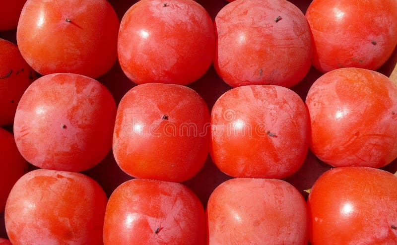 Kaki rouge image stock. Image du automne, délicieux, orange - 11982527