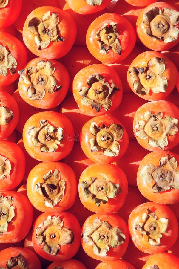 Kakis image stock. Image du produit, fruits, mûr, fermer - 26421487