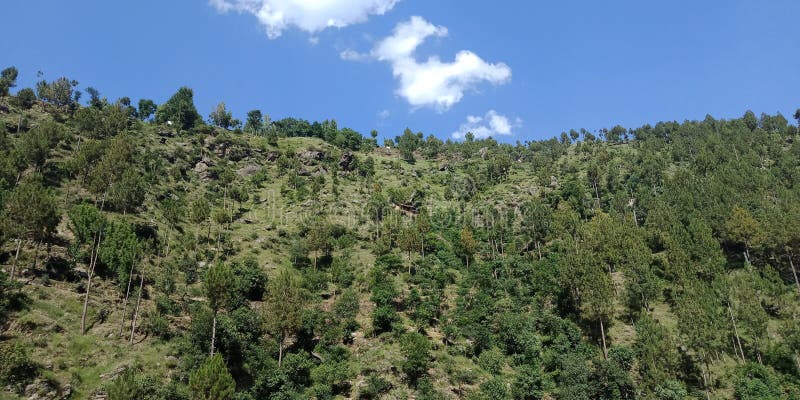 Kalaam stock image. Image of woodland, tree, hill, view - 220890815