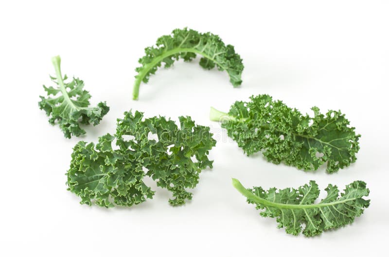 Kale stock photo. Image of healthy, stack, organic, green - 18967088