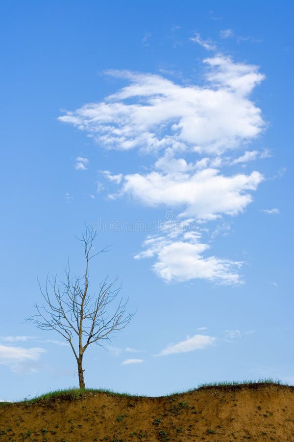 Kale boom en wolk stock foto. Image of daling, stapelwolk - 7954802