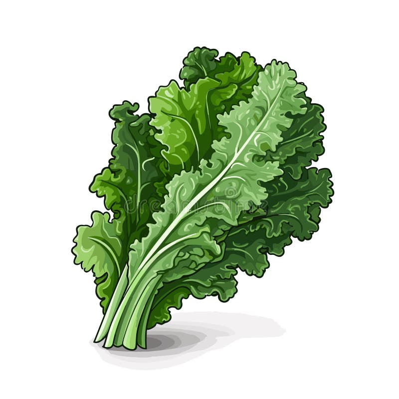 Kale Brassica Stock Illustrations – 304 Kale Brassica Stock ...