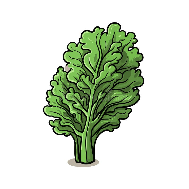 Kale Brassica Stock Illustrations – 304 Kale Brassica Stock ...