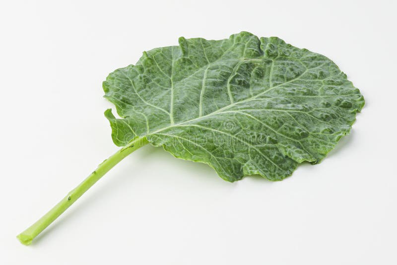 Kale kail lebage col foto de archivo. Imagen de fresco - 262176196