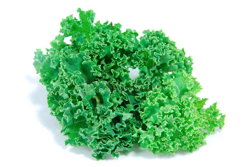 Kale leaves stock image. Image of food, nutritious, green - 13693115