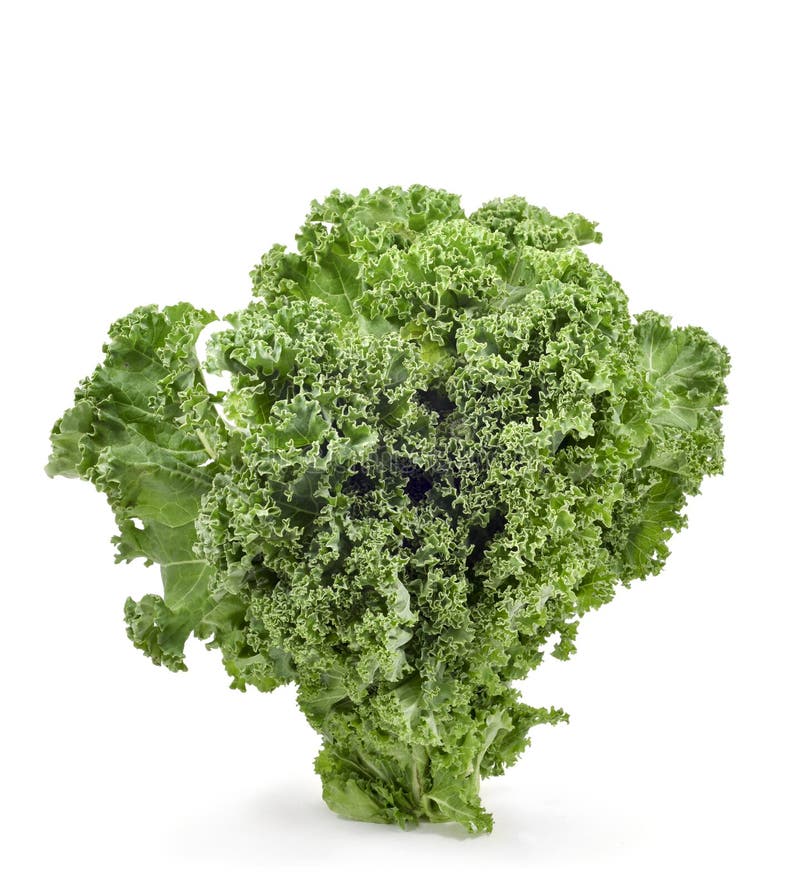 Kale stock photo. Image of greens, vegetarian, vegan - 40250982