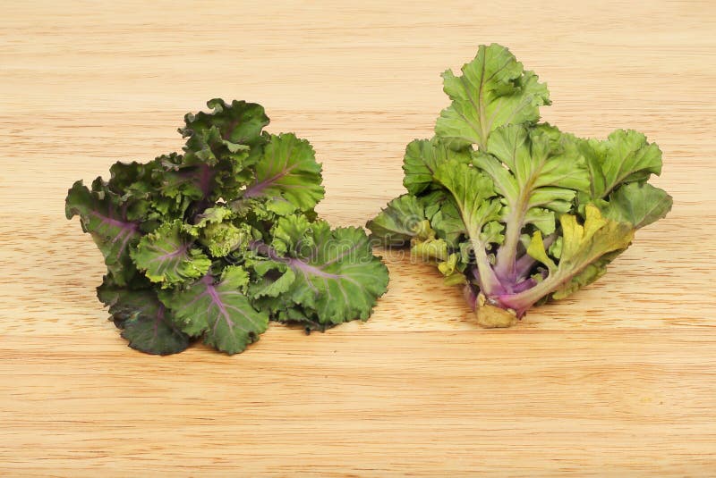 Kale sprouts on a board stock image. Image of horticulture - 274228003