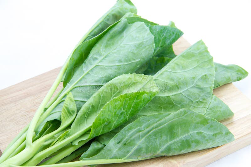 Kale vegetable stock image. Image of fresh, health, ingredient - 30830389