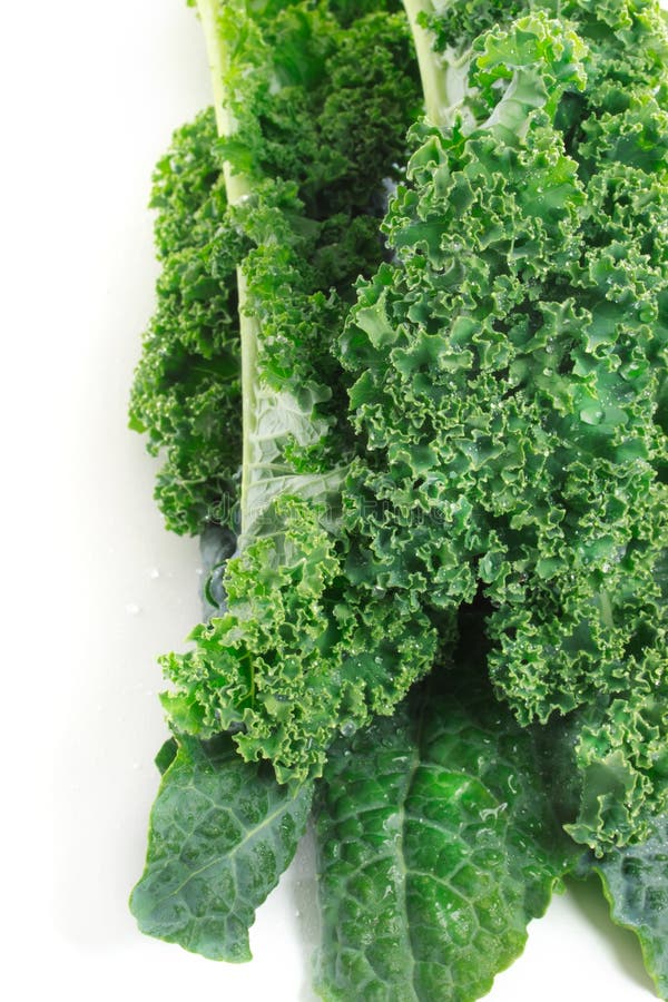 Kale stock photo. Image of healthy, stack, organic, green - 18967088