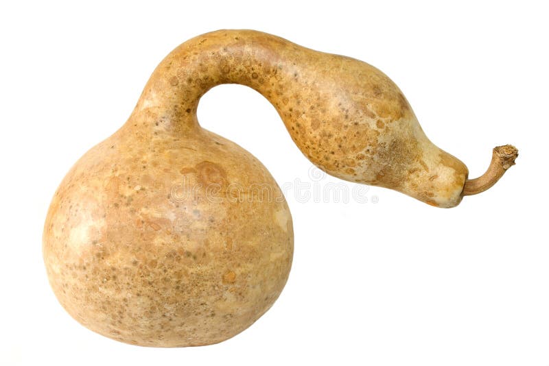 170,371 Kalebass Stock Photos - Free & Royalty-Free Stock Foton från ...