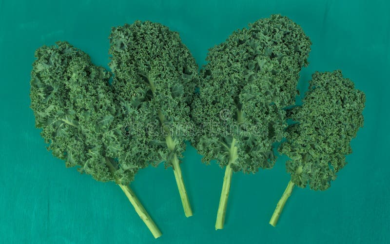 Kalegreen Leaves Curly Kale, Pattern, Top View, Flat Lay Stock Photo ...