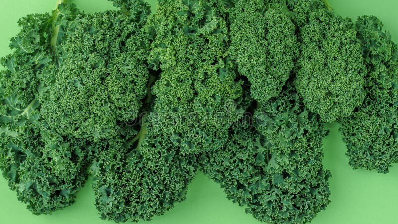 Kalegreen Leaves Curly Kale Pattern Top View Flat Lay Stock Photos ...