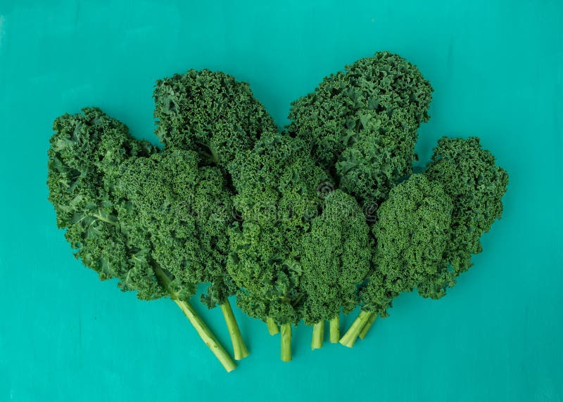 Kalegreen Leaves Curly Kale, Pattern, Top View, Flat Lay Stock Photo ...