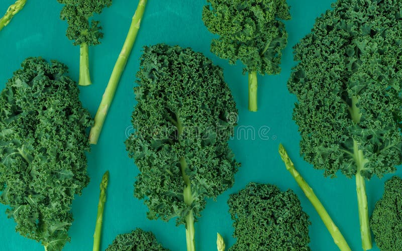 Kalegreen Leaves Curly Kale, Pattern, Top View, Flat Lay Stock Photo ...