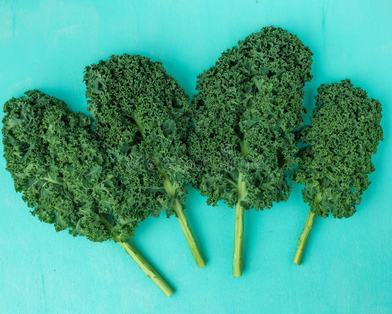 Kalegreen Leaves Curly Kale, Pattern, Top View, Flat Lay Stock Image ...