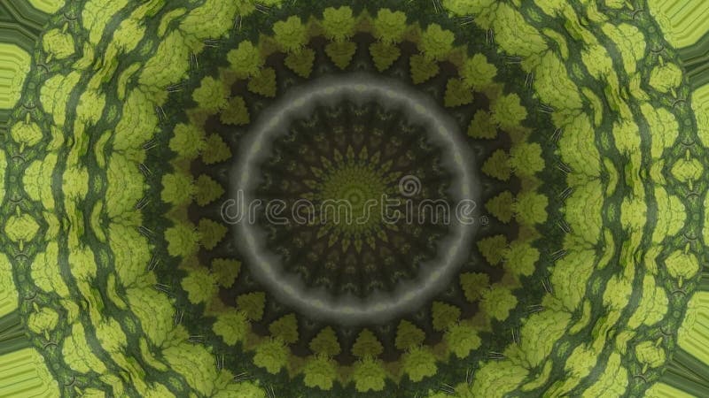 Kaleidoscope and Mandala-inspired Visuals, Creating an Abstract ...